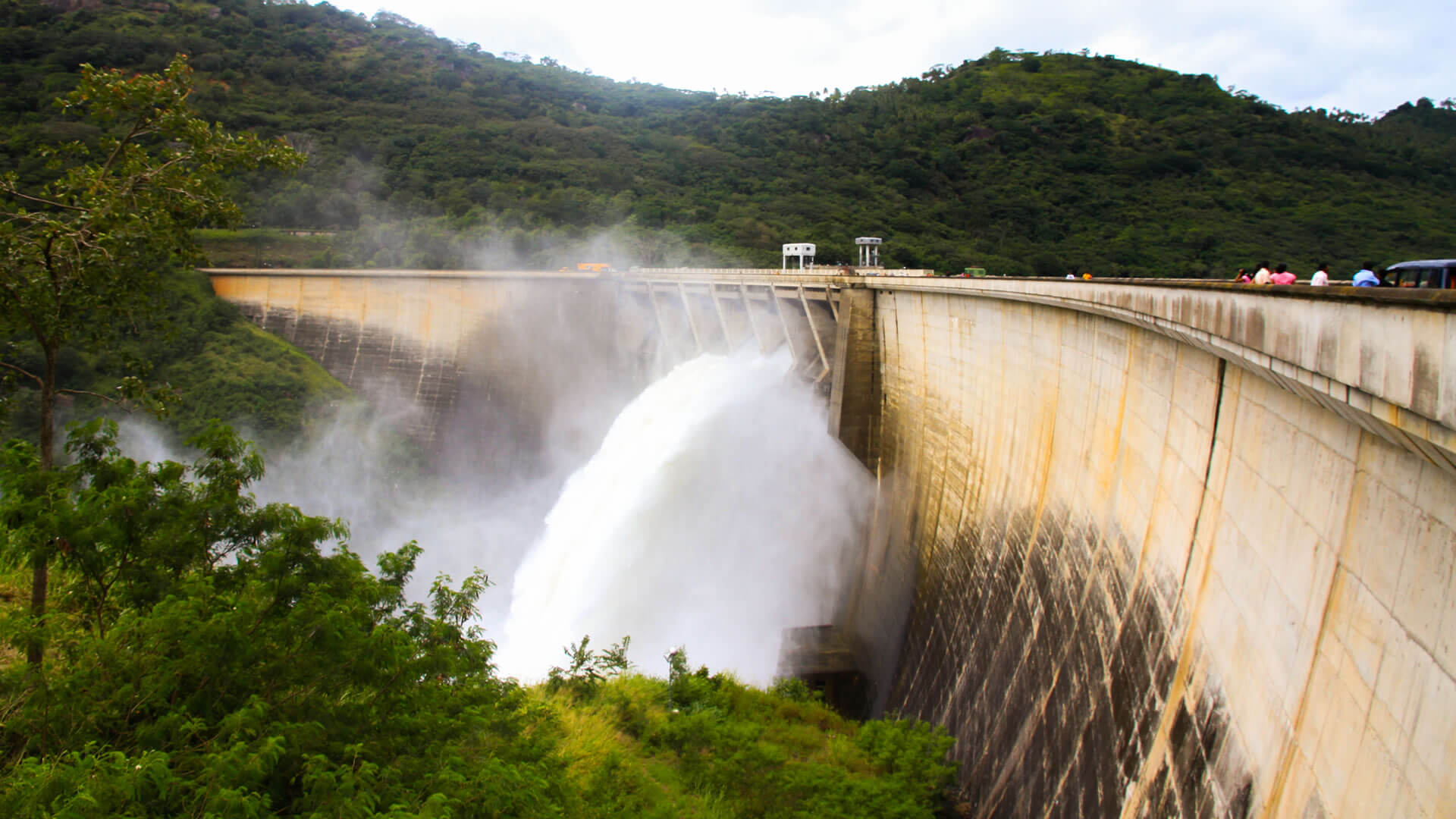 Home | Sri Lanka Sustainable Energy Authority